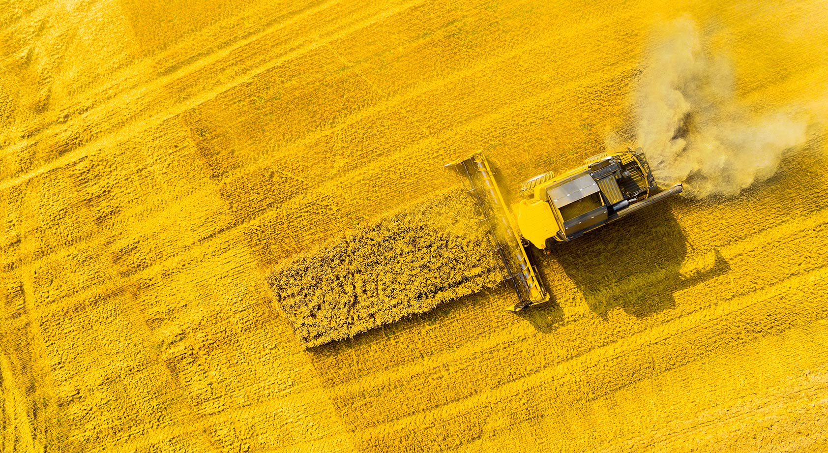 Cover - Carl Schröter