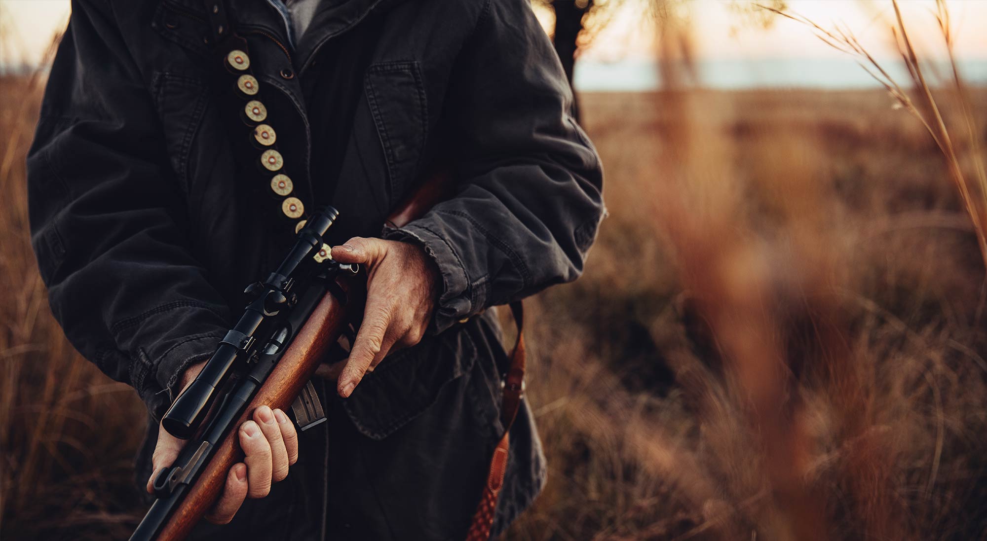 Cover - Carl Schröter